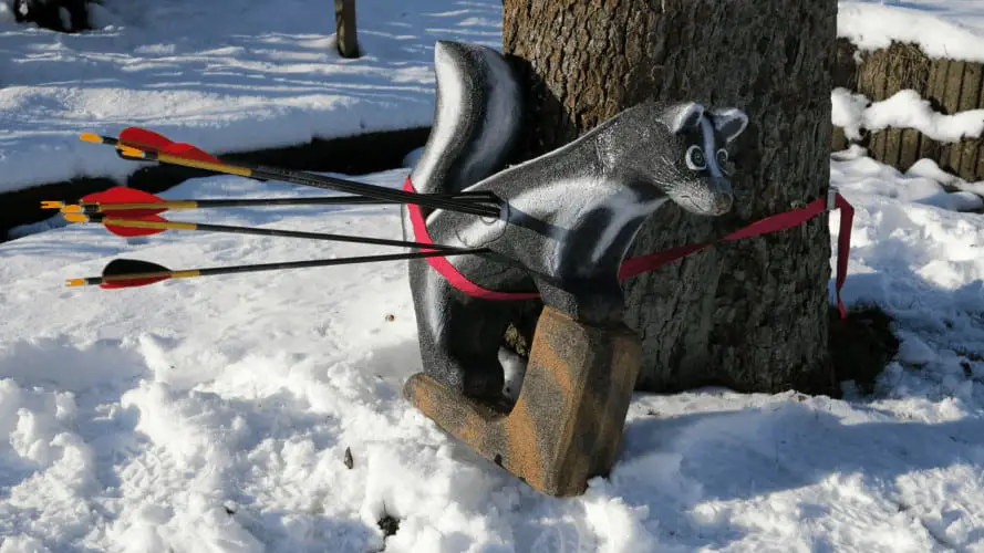 8 Differences Between Field And 3D Archery - The Body Training