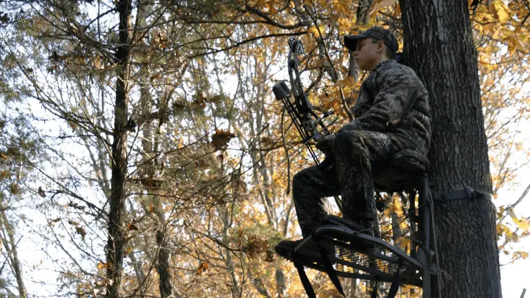 Best Climbing Stands For Bowhunting - The Body Training